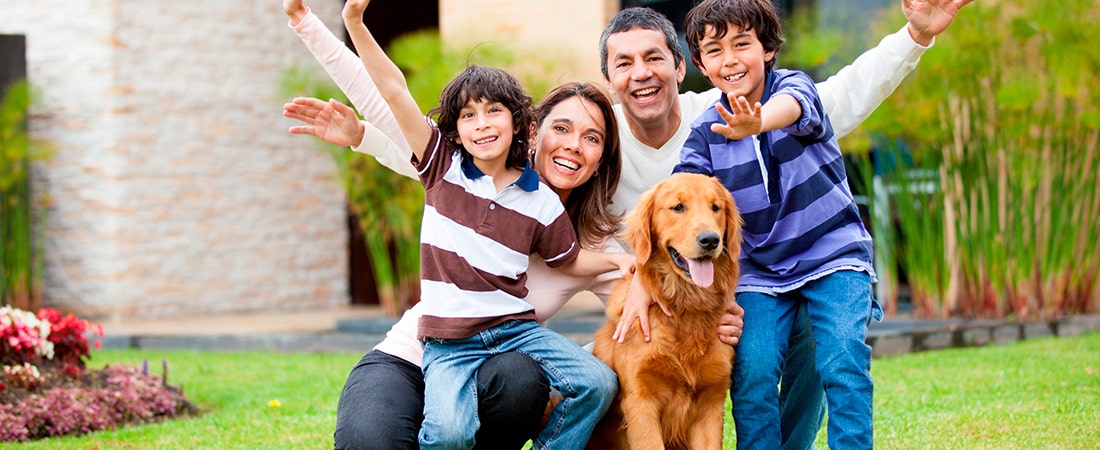 Consejos, novedades y noticias para cuidar a tu mascota - GLN Magazine